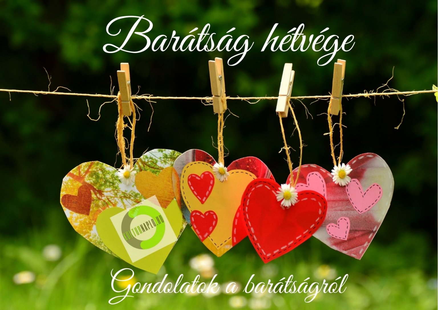 barátság világnapja Archívum